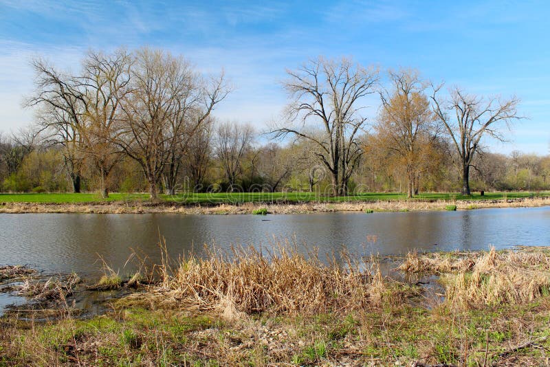 Beautiful Spring View in the Wild Park of Nature. Spring Landscape ...