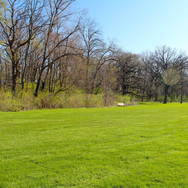 Beautiful Spring View in the Wild Park of Nature. Spring Landscape ...