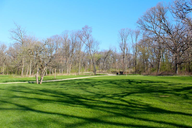 Beautiful Spring View in the Wild Park of Nature. Spring Landscape ...