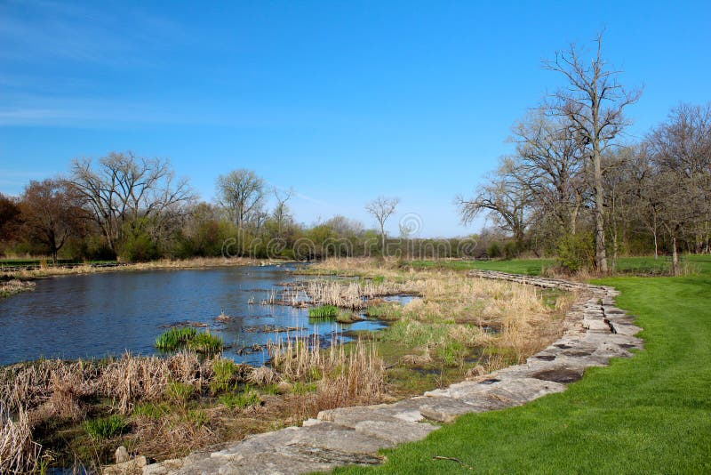 Beautiful Spring View in the Wild Park of Nature. Spring Landscape ...