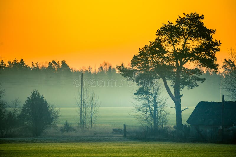A Beautiful Springtime Dawn Landscape before the Sunrise. Soft ...