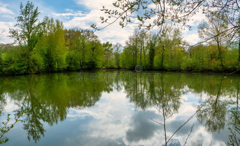 Springtime rural scene stock photo. Image of tree, horizon - 90146980