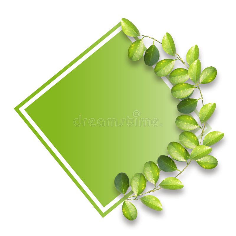 Beautiful Square Frame with Green Leaves. Natural Concept Stock Image ...