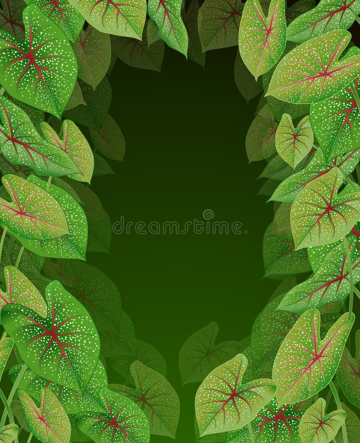 Beautiful Square Ivy Plant Frame Cartoon Stock Illustration ...