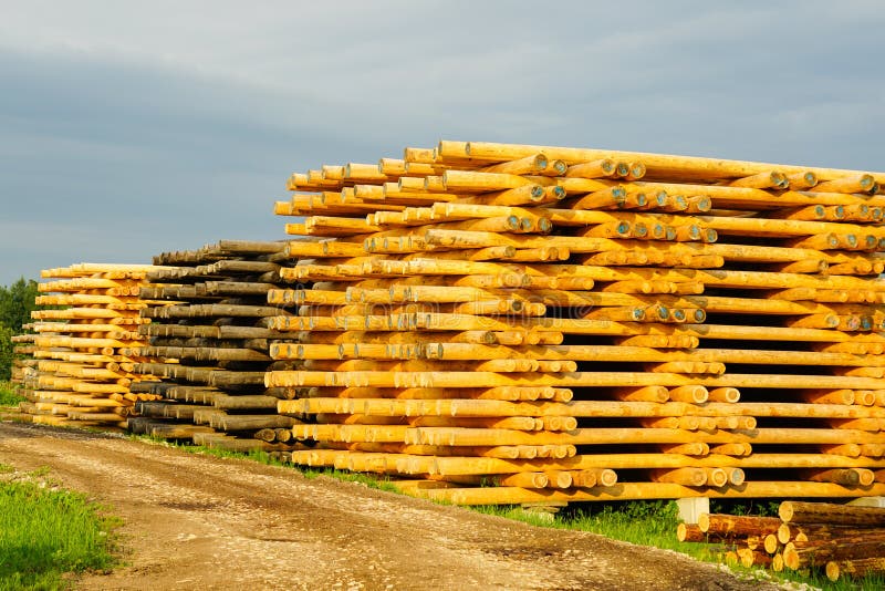 Beautiful Stacked Pile Peeled Logs Log House Construction Stock Photos ...