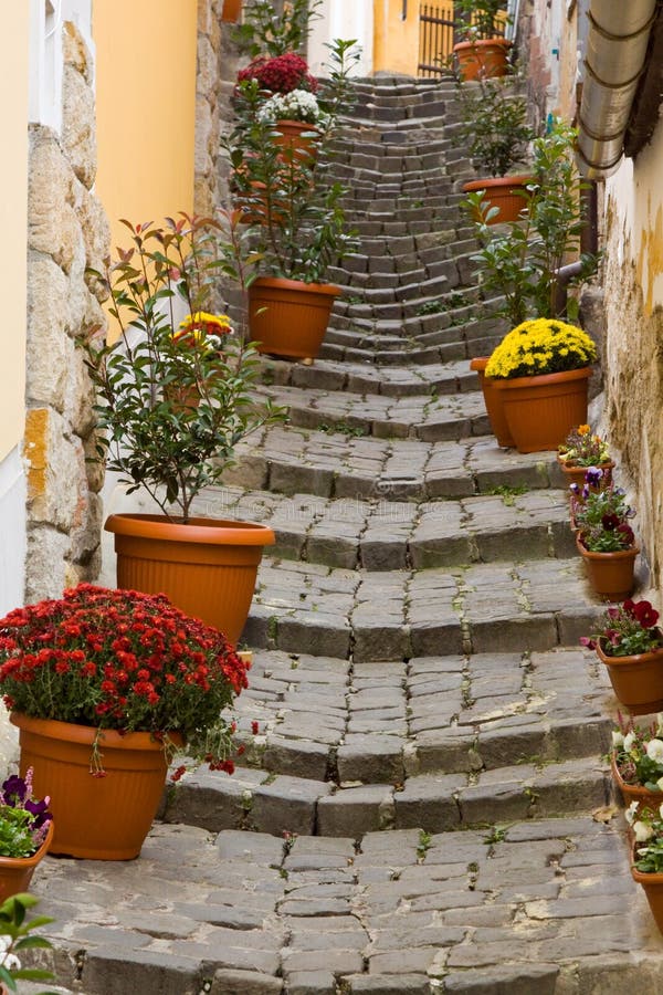 Beautiful Old Stairs in the Forest Park Stock Image - Image of blue ...