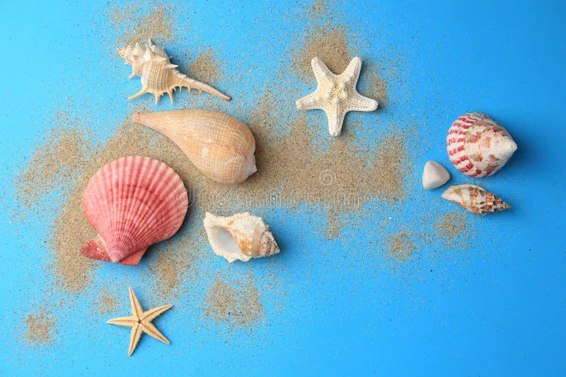 Starfishes and Sea Shells on Sand Stock Photo - Image of star, textured ...