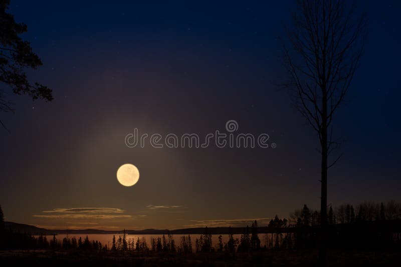 Beautiful starry night stock photo. Image of clouds, silhouette - 46036574