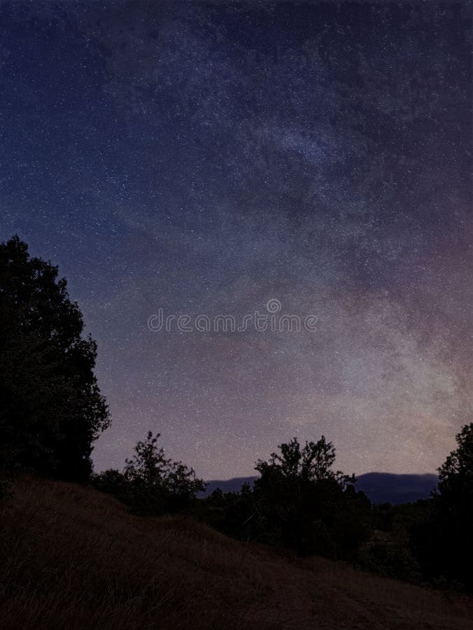 Beautiful Starry Sky Over the Silhouettes of the Trees. Stock Photo ...