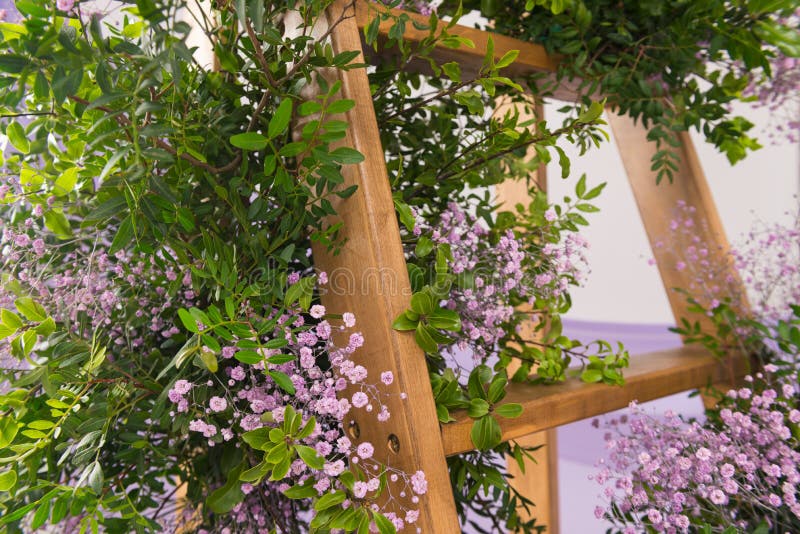 Beautiful Step Ladder Decorated with Bushes of Flowers on White ...