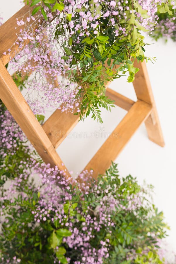 Beautiful Step Ladder Decorated with Bushes of Flowers on White ...
