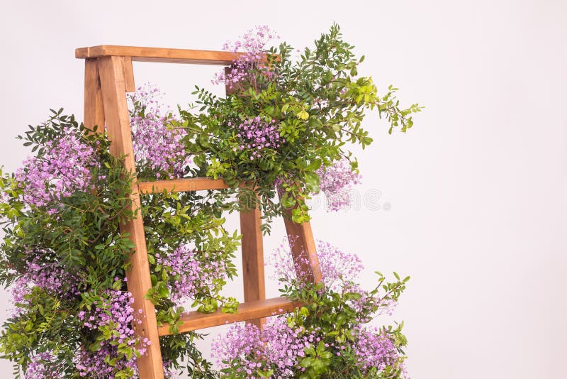 Beautiful Step Ladder Decorated with Bushes of Flowers on White ...