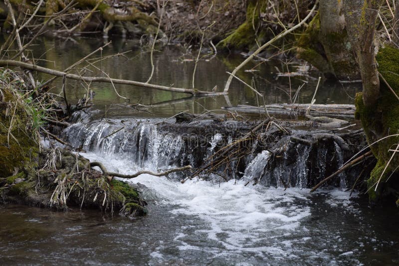 A Step in a natural Stream stock photo. Image of wild - 215241116