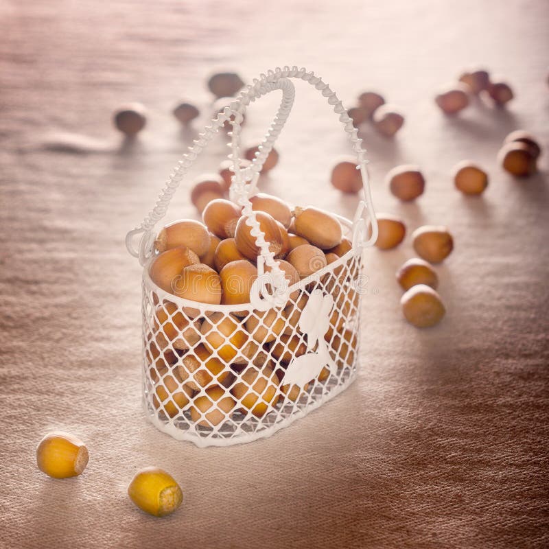 Beautiful Still Life with Hazel on a Background of Natural Fabric ...