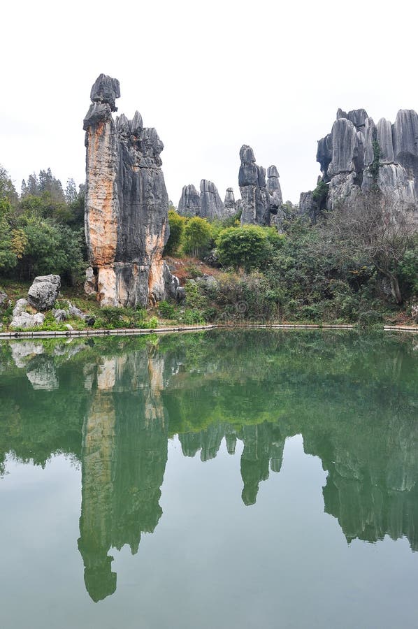 The beautiful stone forest stock photo. Image of seamew - 65365852