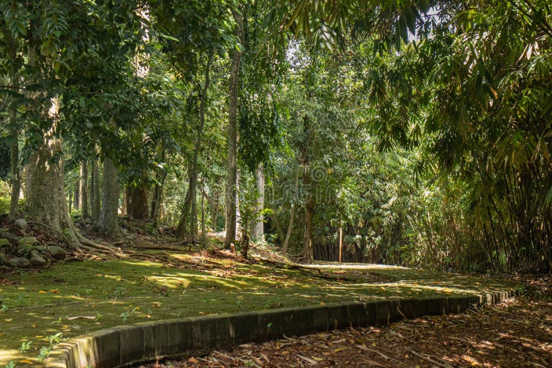 Stone Path Around the Trees in the Park Stock Image - Image of ...