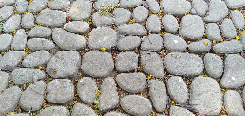 Beautiful Stone Path Photos Taken Stock Photo - Image of sand, leaf ...