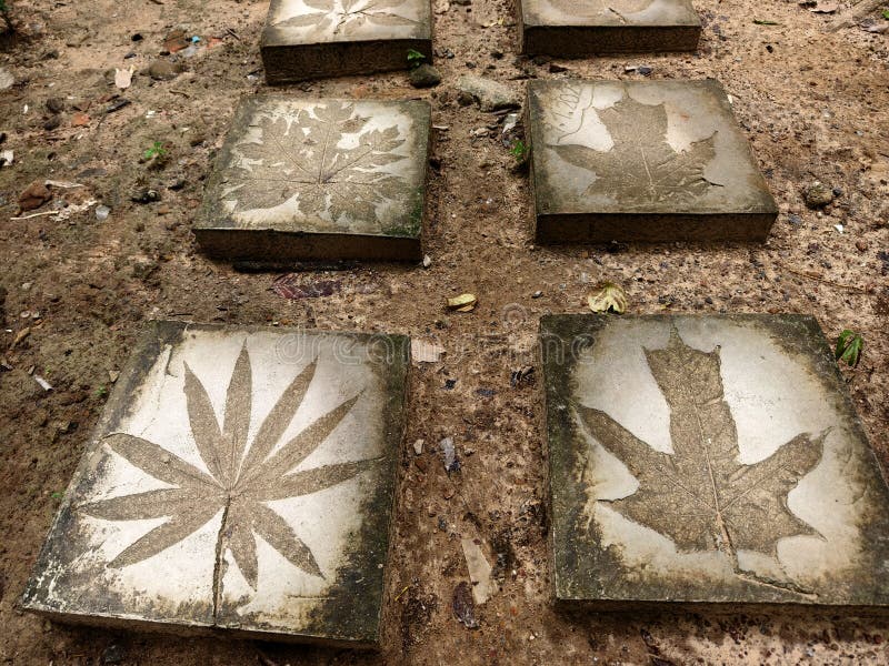 Beautiful Stone Slabs with Leaf Patterns Blend Nature Stock Image ...