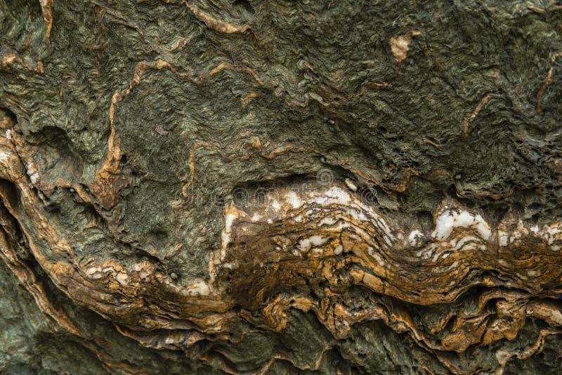 Beautiful Stone Texture Close-up. Natural Patterns on Stone Stock Image ...