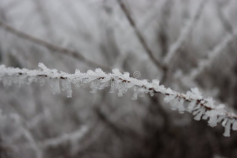 Beautiful Storm of Cold and Snow Frost Ice Under Zero Ice Stock Image ...