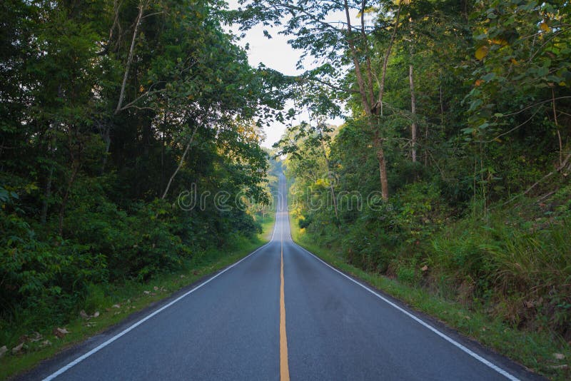Beautiful Straight Empty Road through Forest, Background Stock Image ...