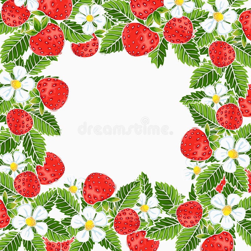 Strawberries frame stock illustration. Illustration of decoration - 2400298