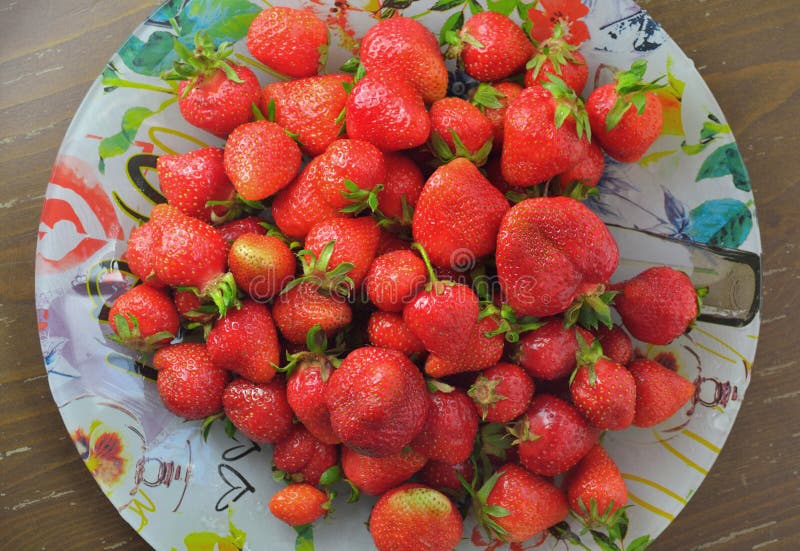 Beautiful strawberries stock photo. Image of organic - 55610980