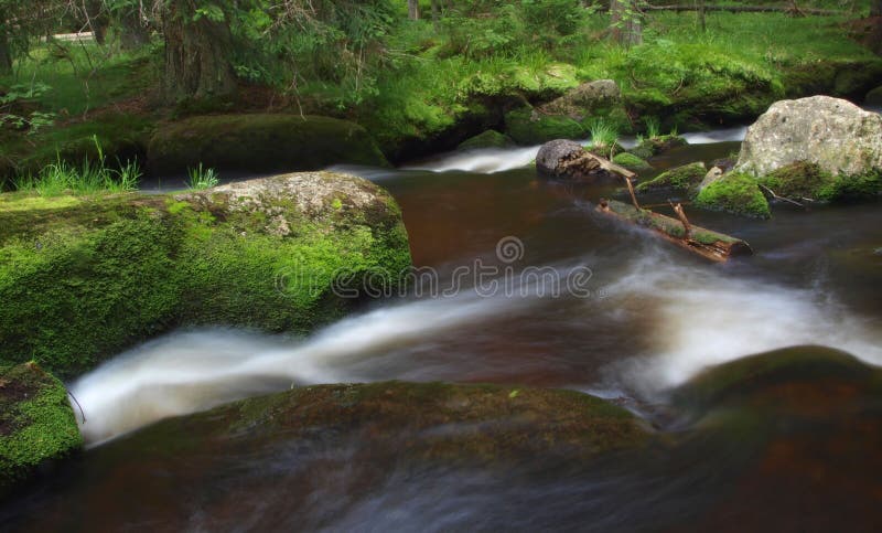 Beautiful stream stock photo. Image of luminous, mirror - 10869024