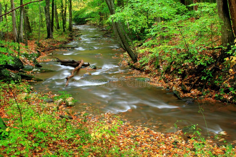Beautiful Stream stock image. Image of rock, environment - 6769013