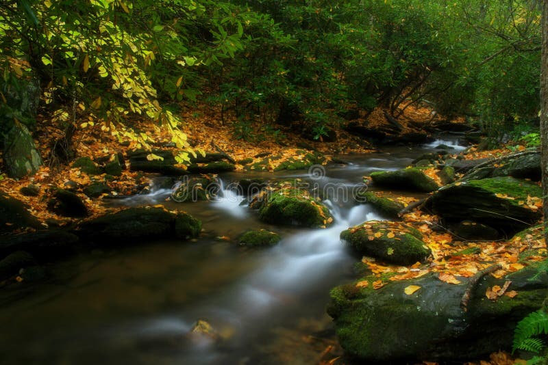 Beautiful Stream stock photo. Image of landscape, outdoor - 6873378