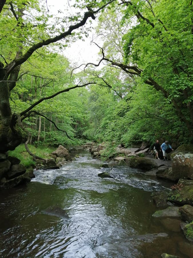Stream in the British Countryside Stock Photo - Image of water, flow ...