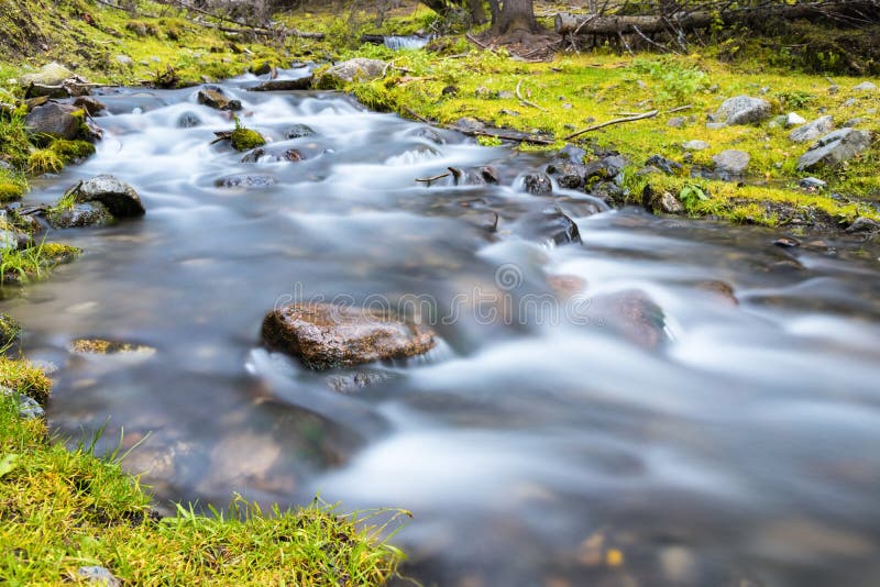 Beautiful stream closeup stock photo. Image of ecology - 130041052