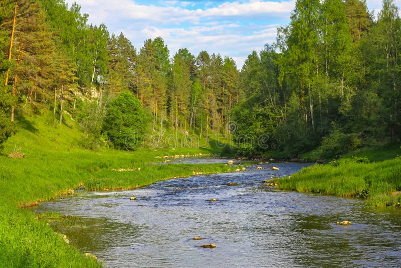 Beautiful Stream Flowing through the Forest Stock Image - Image of ...