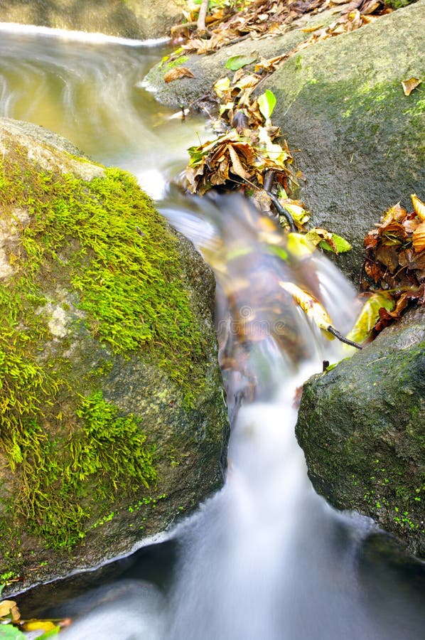 The Beautiful Stream in Forest Stock Photo - Image of long, exposure ...