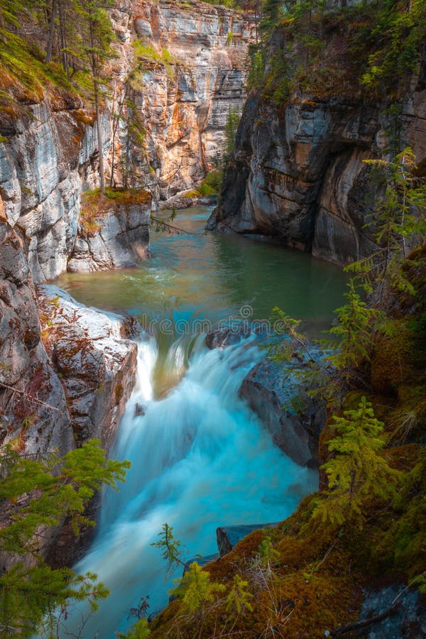A Beautiful Stream in a Forest of Alberta. Stock Photo - Image of ...