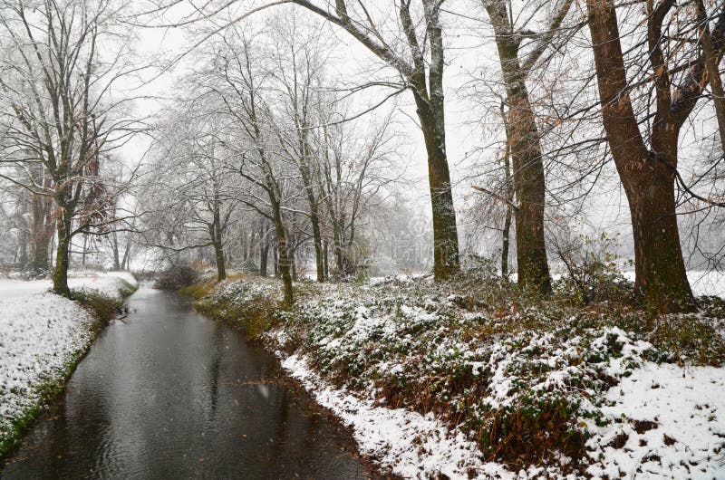 Beautiful Stream Going through the Snow-covered Grassy Shore and Trees ...