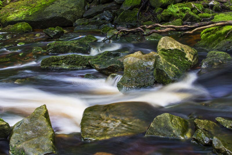 Beautiful Stream in the Mountains Stock Photo - Image of mountain ...