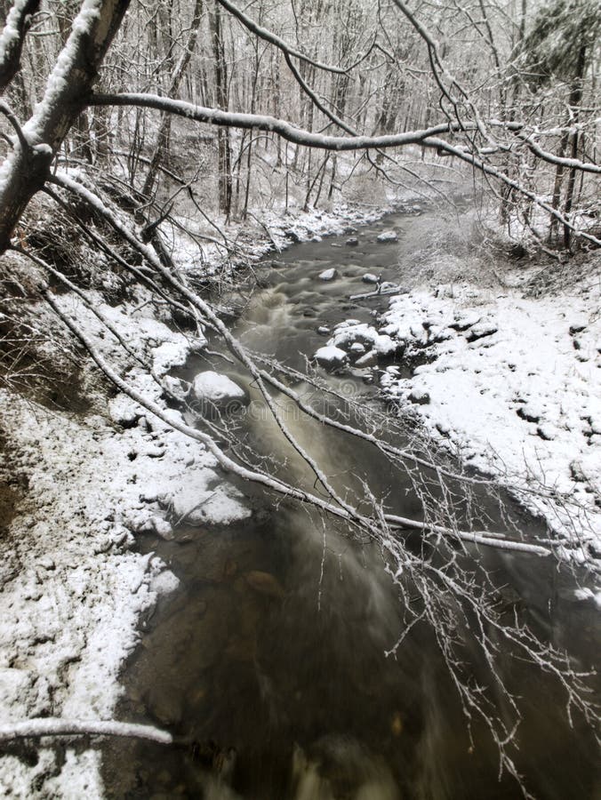 Snowy forest stream stock photo. Image of forest, stream - 111611714