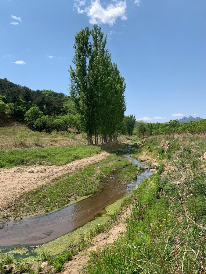 Beautiful Streams, Green Trees and Clear Sky Stock Photo - Image of ...
