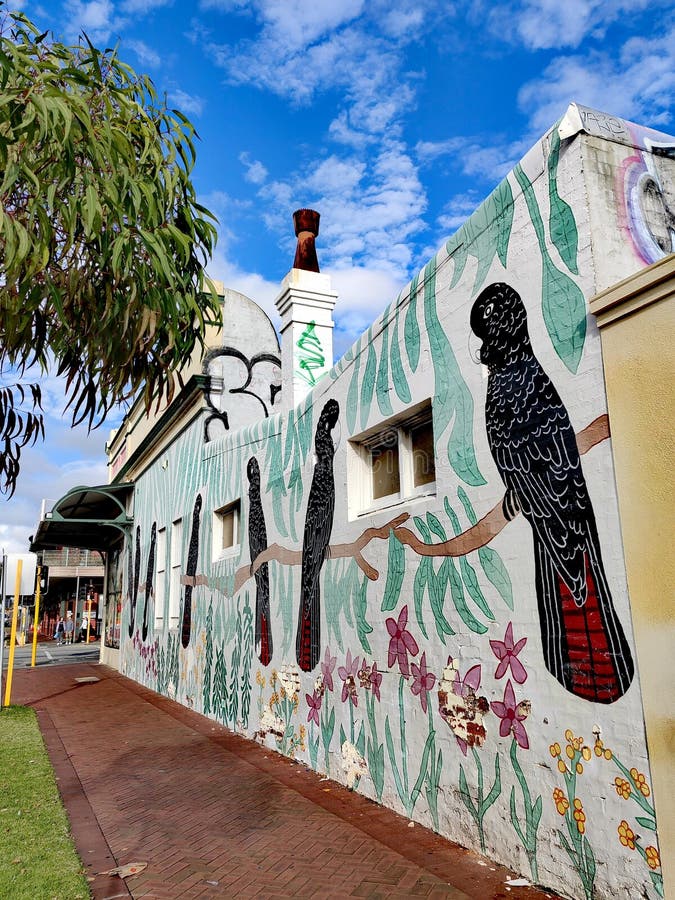 Beautiful Street Art in Northbridge Perth. Editorial Image - Image of ...