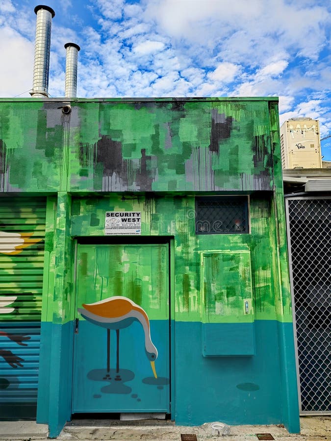 Beautiful Street Art in Northbridge Perth. Editorial Stock Photo ...