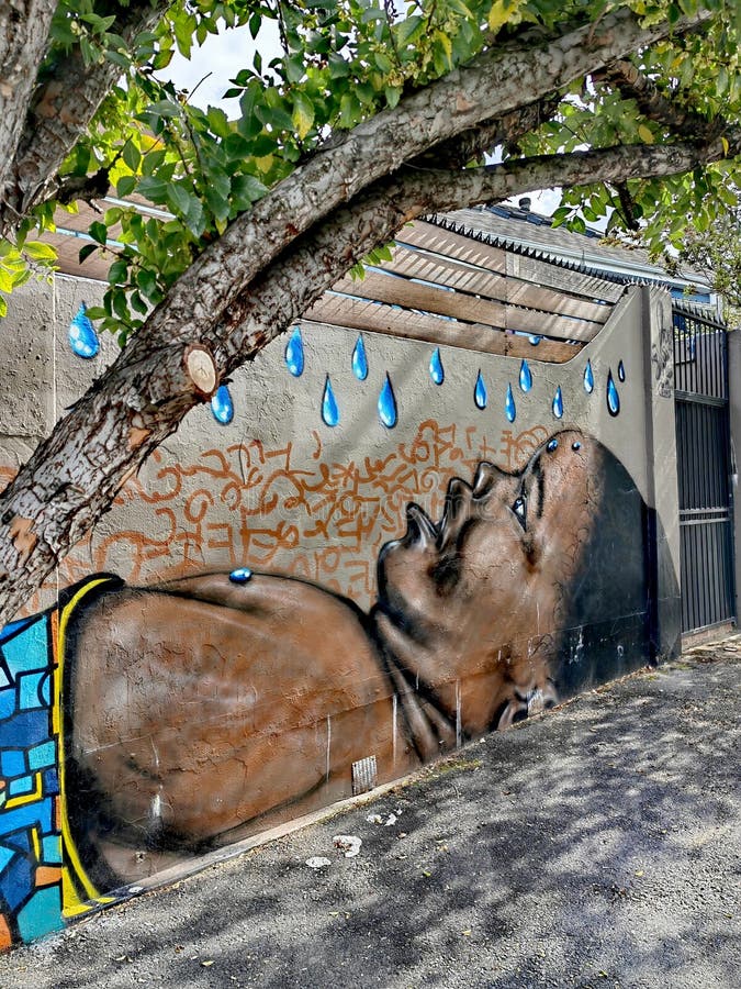 Beautiful Street Art, Cape Town. Editorial Stock Photo - Image of ...