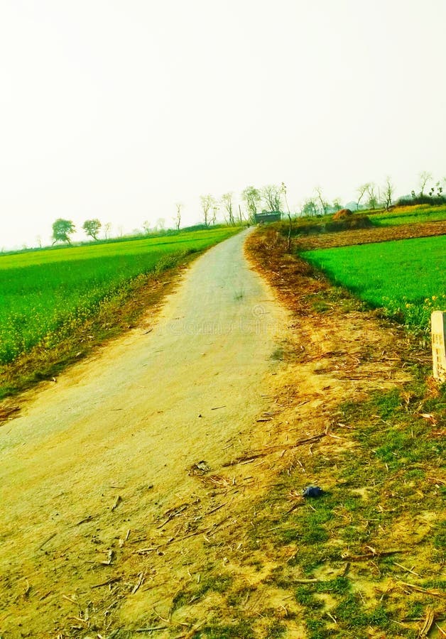 Beautiful Street Scenery of India Stock Photo - Image of india ...