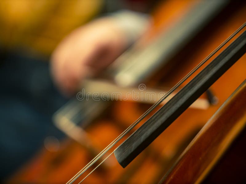 Beautiful String Instruments - Violin, Cello and Double Basses ...
