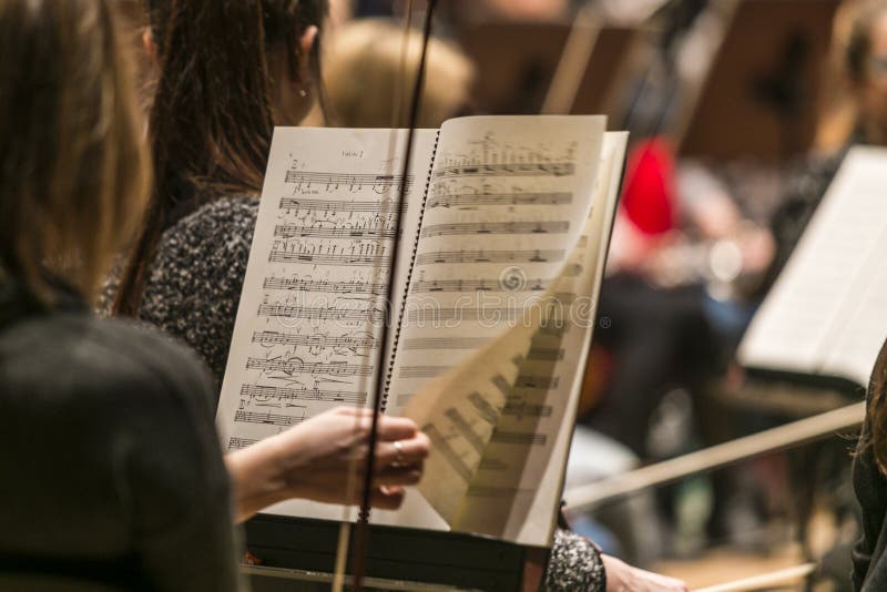Beautiful String Instruments - Violin, Cello and Double Basses ...