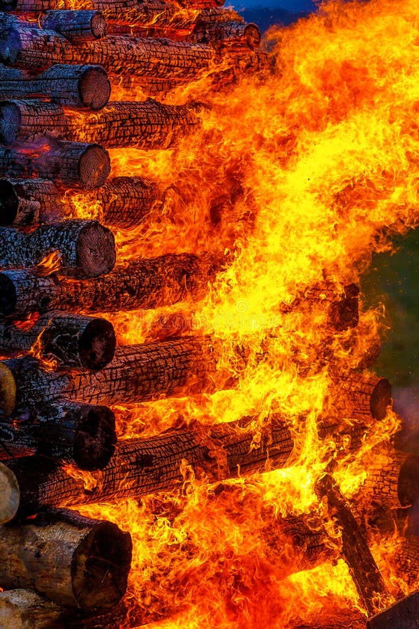 Beautiful Structure of Burning Logs and Flames of Great Bonfire. Stock ...
