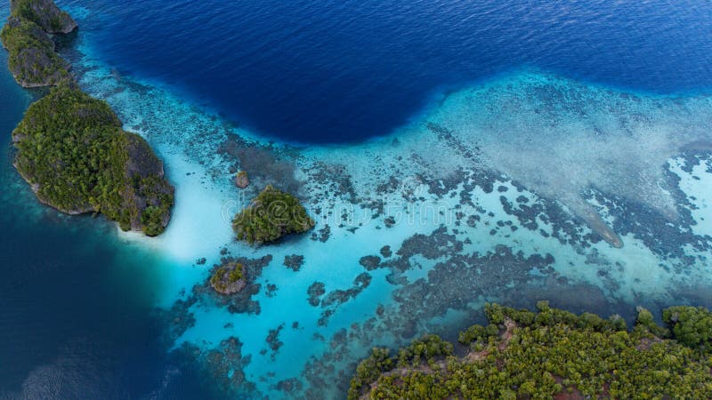 The Beautiful Structure of Raja Ampat Stock Image - Image of ...