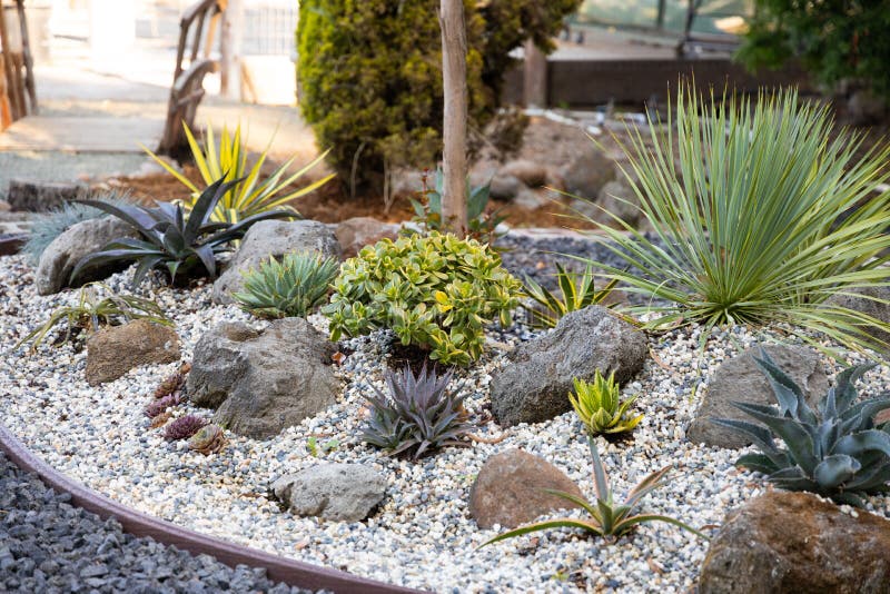 Beautiful Succulent Garden with Plants Stock Image - Image of spike ...