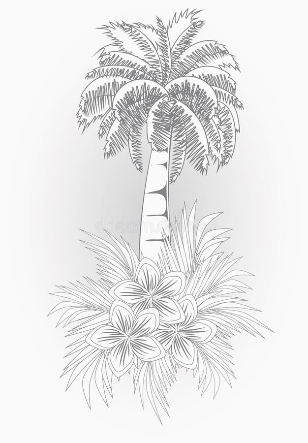 Beautiful Summer Card with Palm Tree, Vector Stock Vector ...