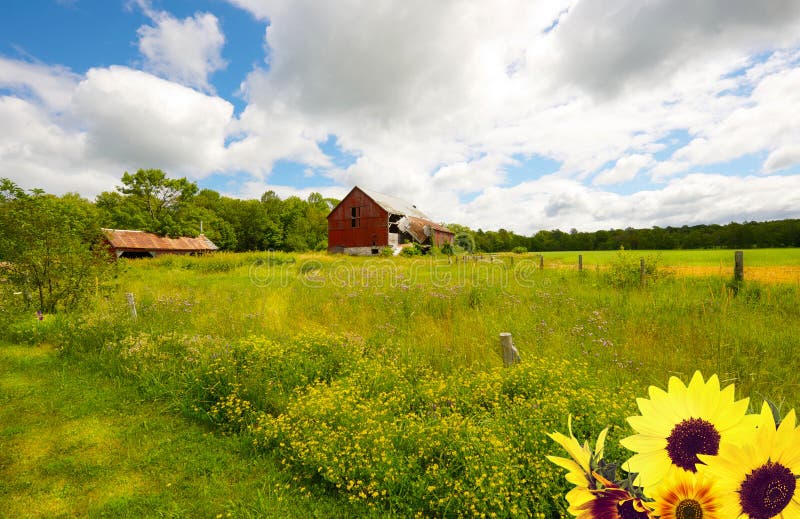 Country landscape. stock photo. Image of broken, field - 30204636